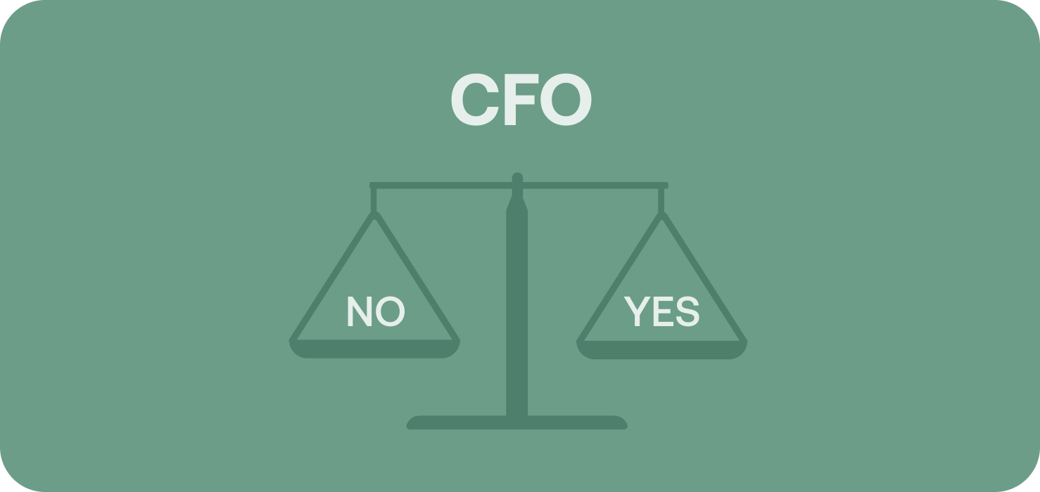 What Does a CFO Do in a Company? CFO Role Explained